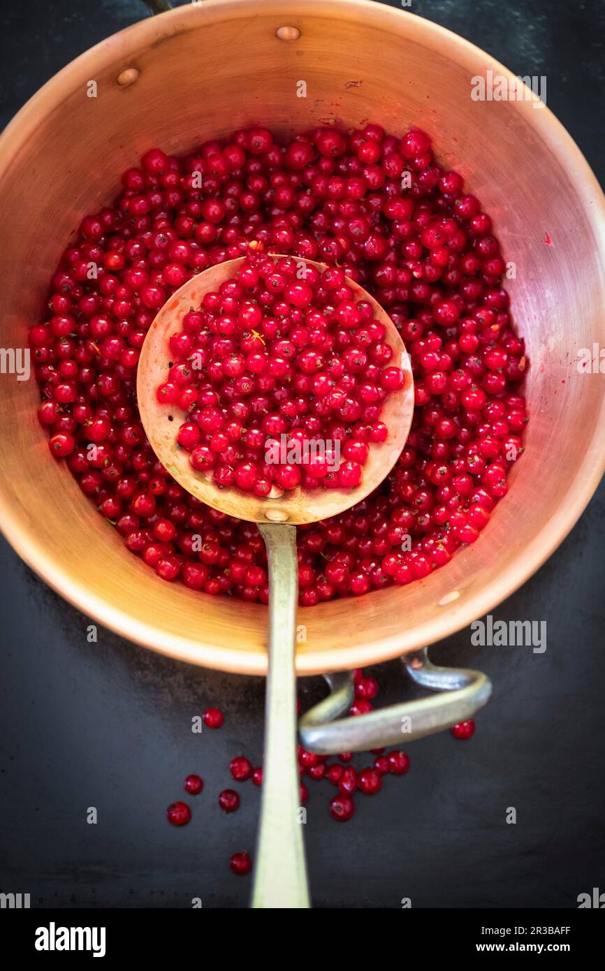 Redcurrants to be cooked in copper pot with a draining spoon Stock ...