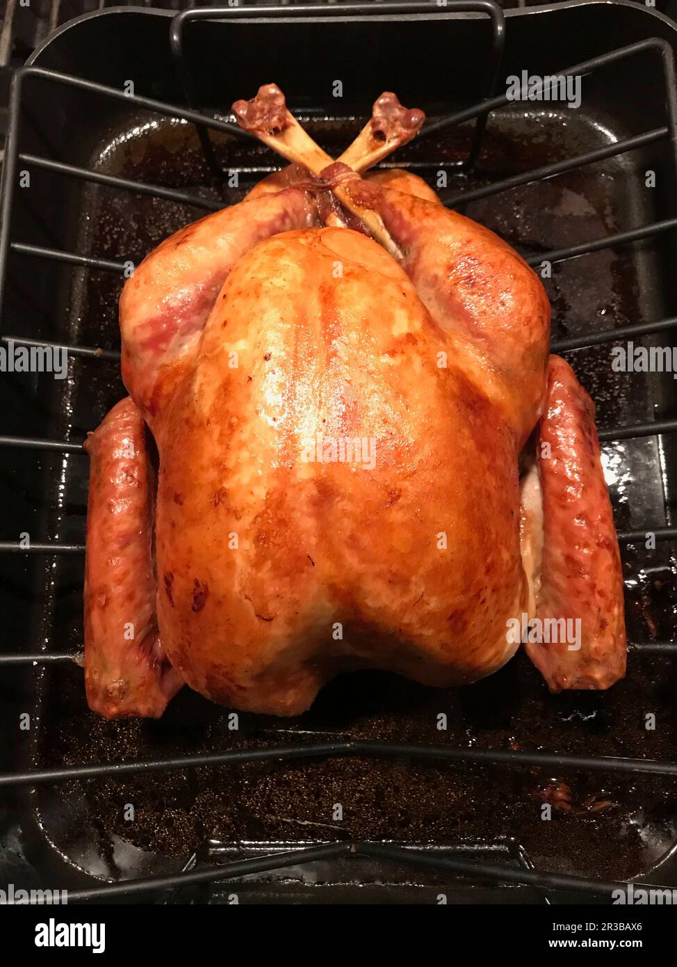 Turkey in roasting pan Stock Photo - Alamy