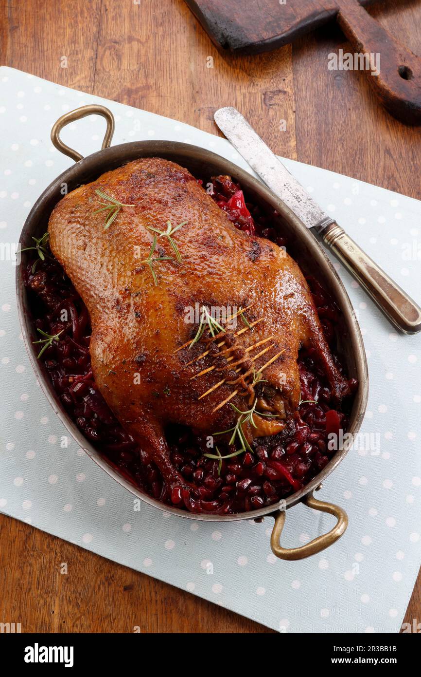 Roasted duck with red onions chutney and pomergranate Stock Photo - Alamy