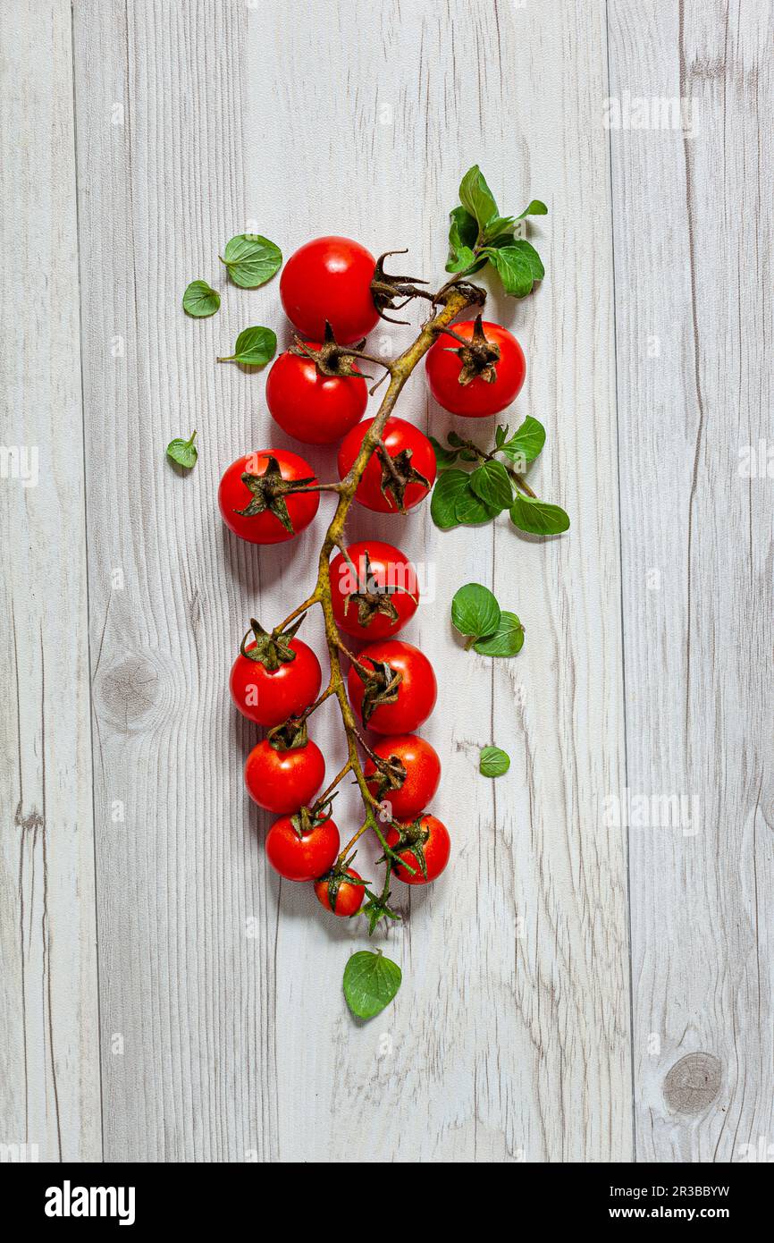 Vine plan hi-res stock photography and images - Alamy