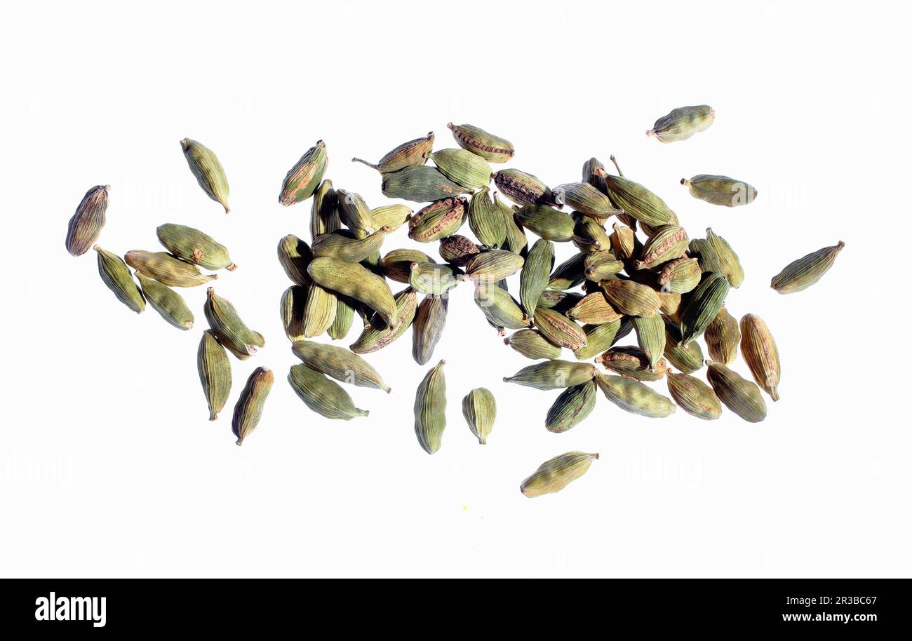 Pod spice ginger family hi-res stock photography and images - Alamy