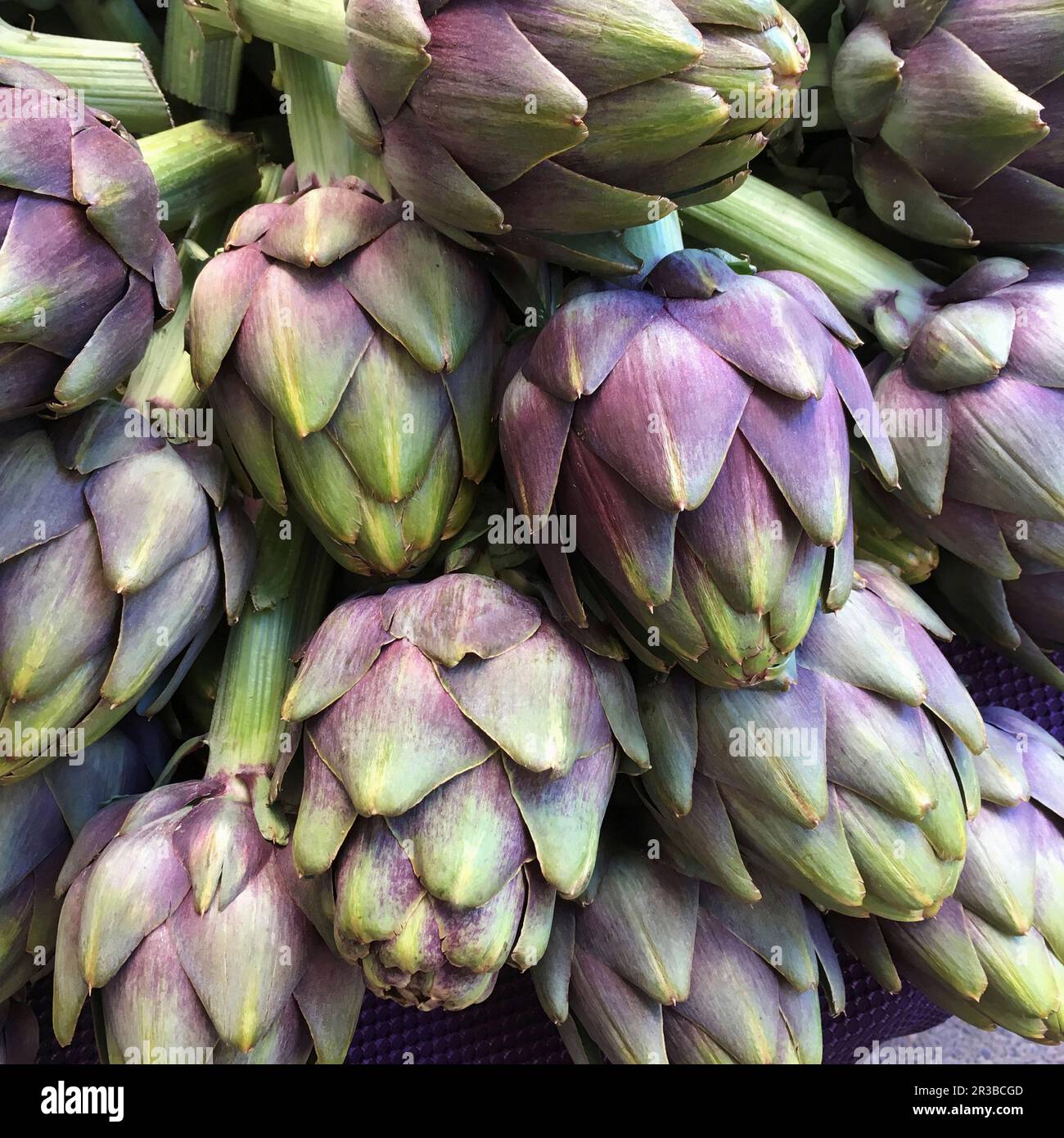 Purple Italian artichokes Stock Photo - Alamy