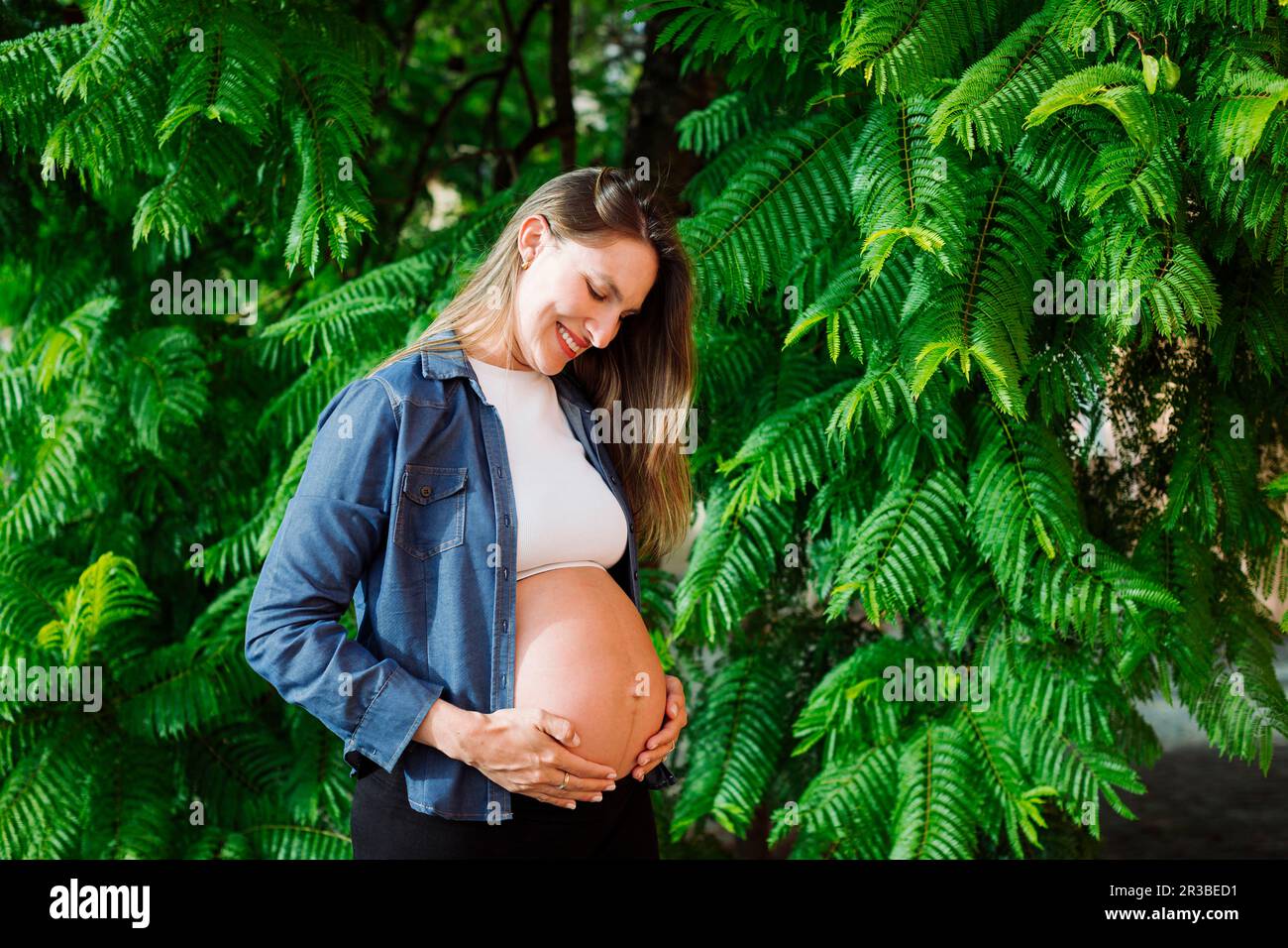 Smiling pregnant woman with hands on stomach standing in front of tree ...