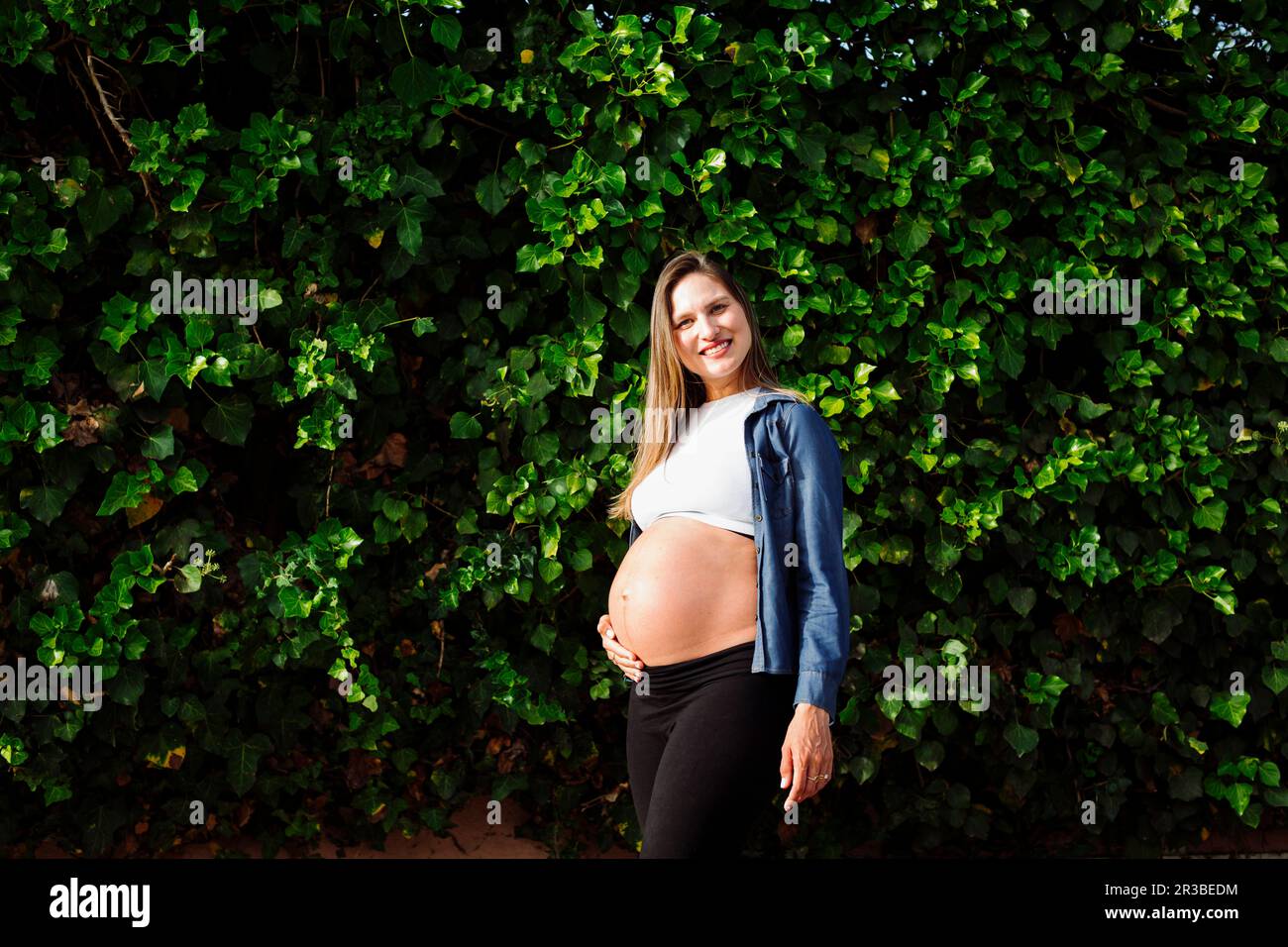 Smiling hedge hi-res stock photography and images - Alamy