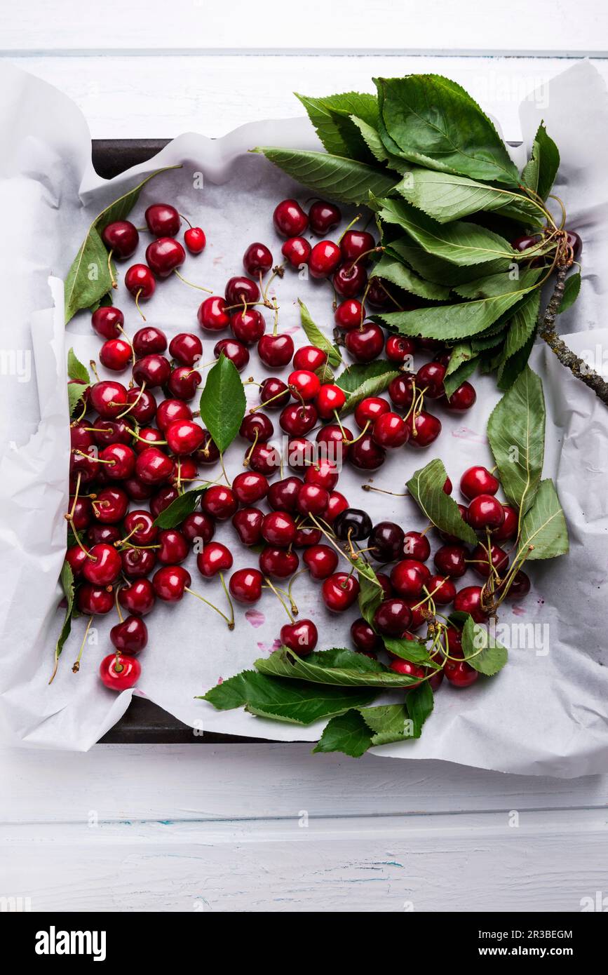 Various sweet cherries (prunus avium) with leaves Stock Photo - Alamy