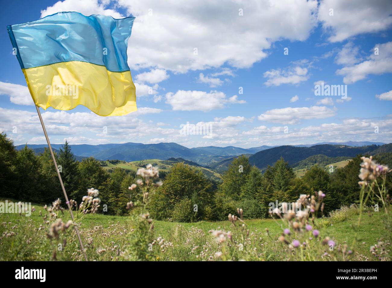 Flying ukrainian flag sun hi-res stock photography and images - Alamy