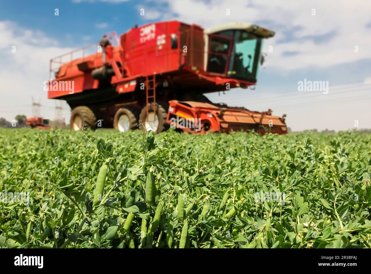 Pea harvester hi-res stock photography and images - Alamy