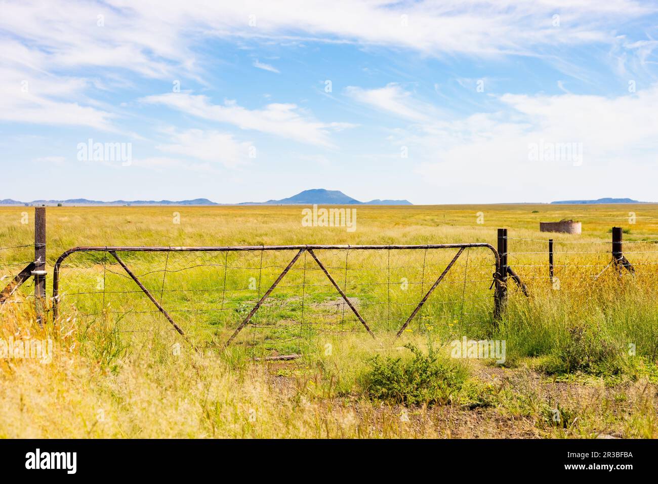 Farm gate and fence in ruralarea of South Africa Stock Photo - Alamy