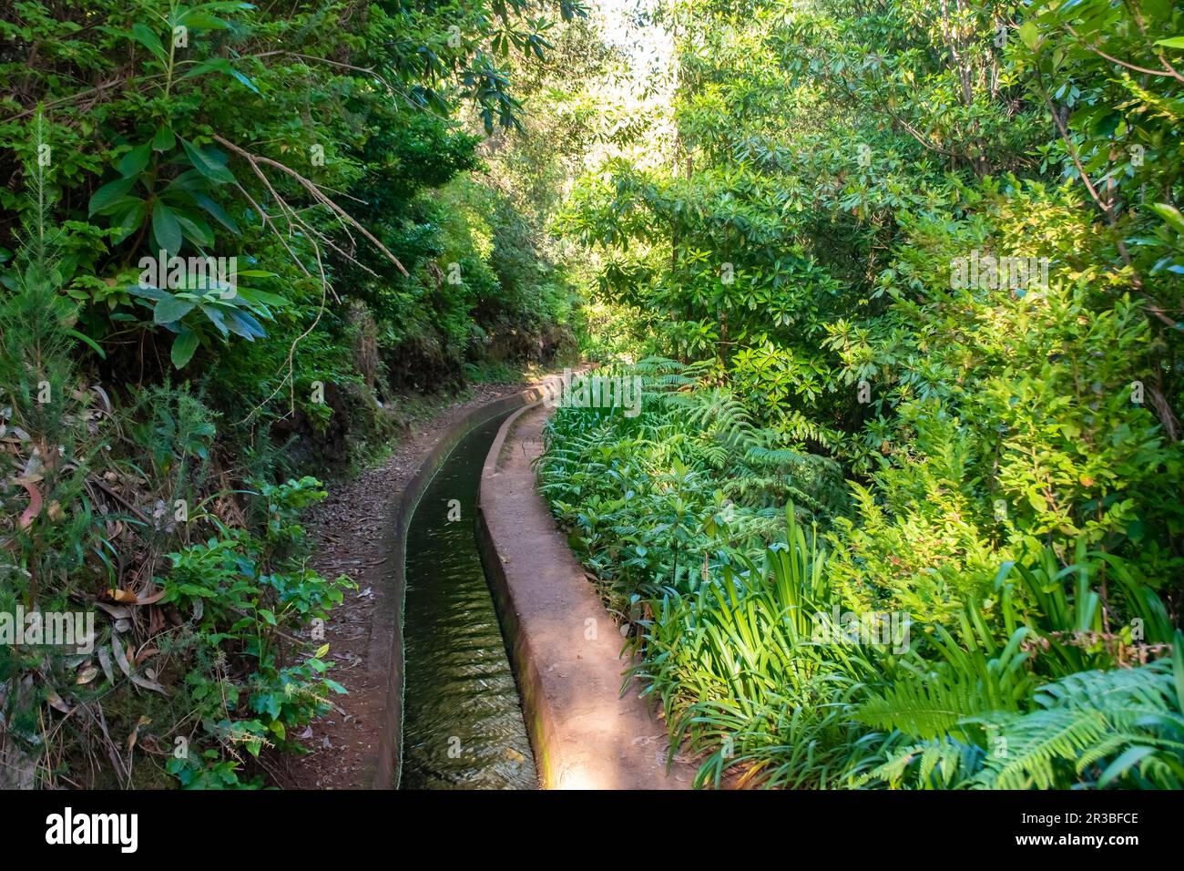 Levada do Rei Hike, Madeira Island, King water channel hike Stock Photo ...