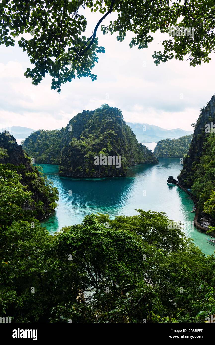 Green mountains amidst sea at Coron Island in Philippines Stock Photo ...