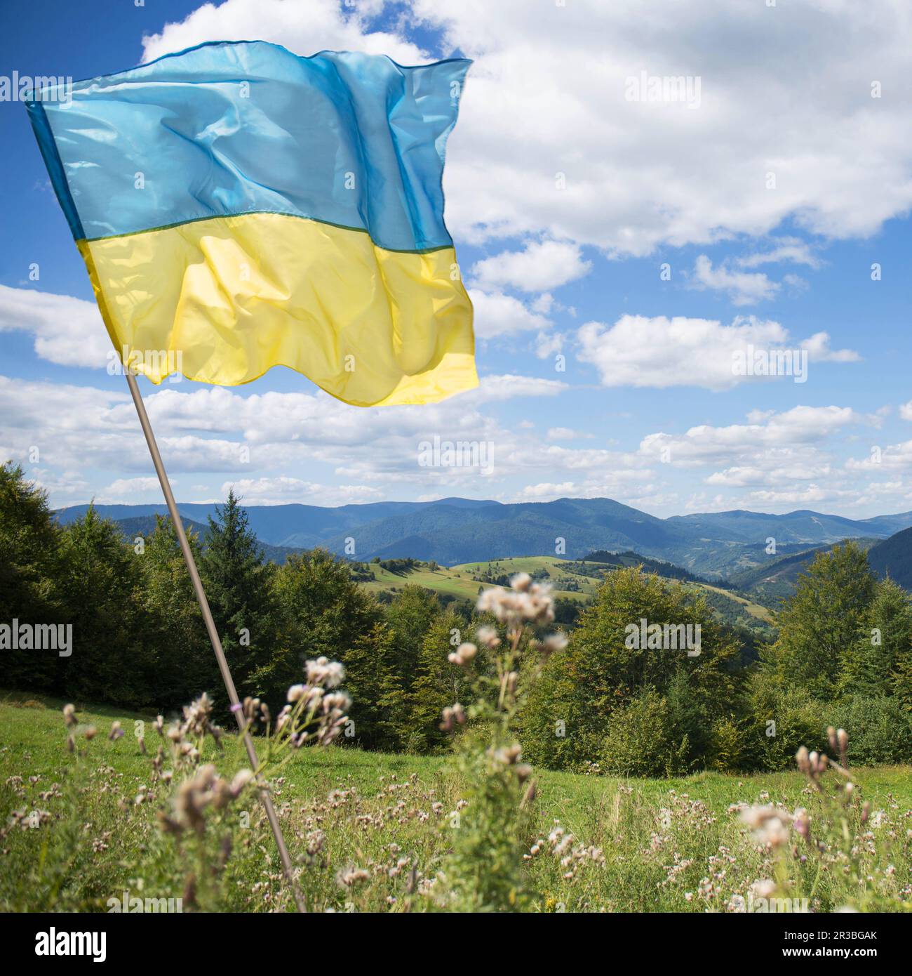 Flying ukrainian flag sun hi-res stock photography and images - Alamy