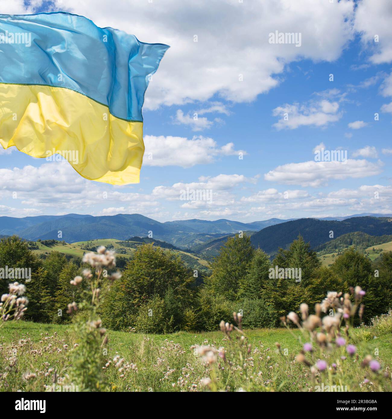 Flying ukrainian flag sun hi-res stock photography and images - Alamy