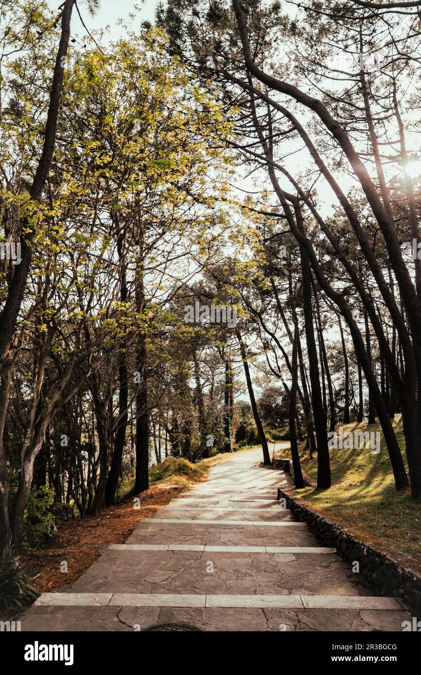 Paved pathway hi-res stock photography and images - Alamy