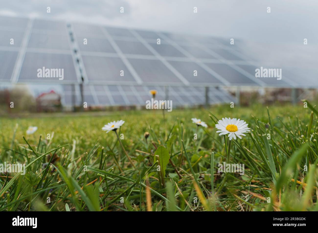 Solar panels and green grass hi-res stock photography and images - Alamy
