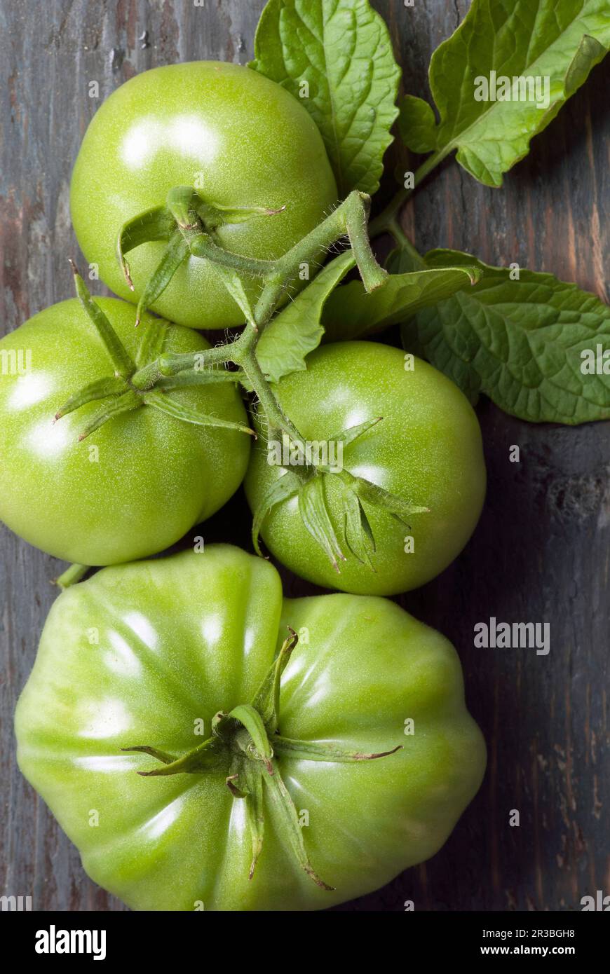 Unripened green tomatoes hi-res stock photography and images - Alamy