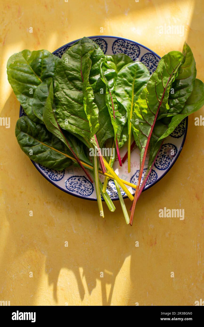 Fresh Swiss chard leaves on plate Stock Photo - Alamy
