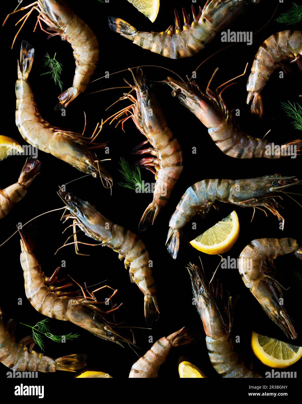 Plan view prawn hi-res stock photography and images - Alamy