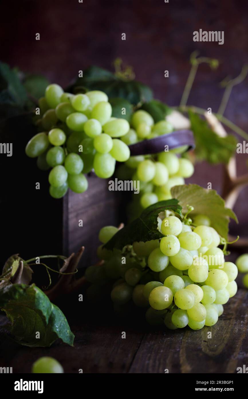 Arrangement of grapes hi-res stock photography and images - Alamy