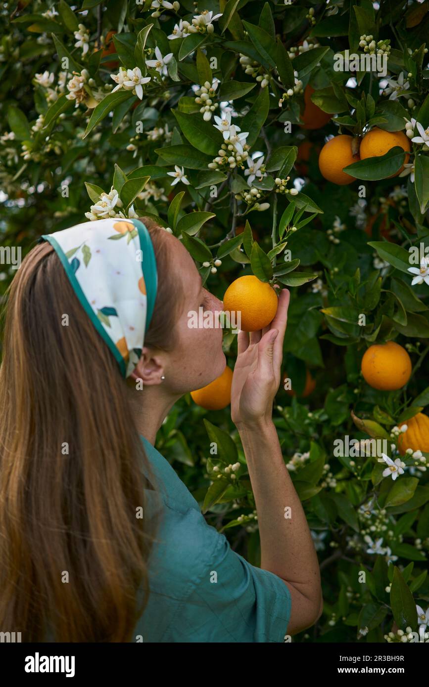 Female orange tree hi-res stock photography and images - Alamy