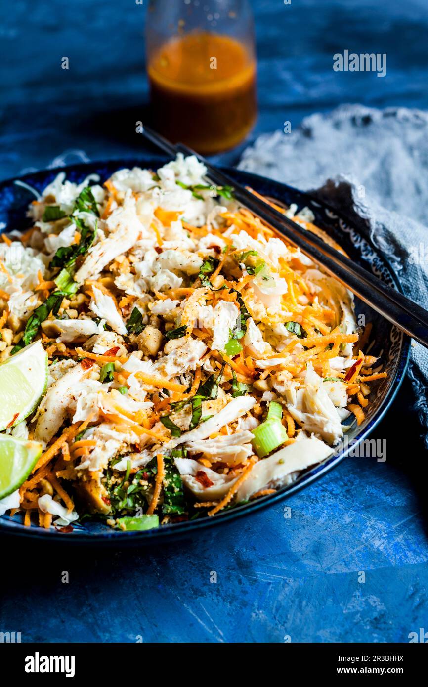 Goi Ga - Vietnamese coleslaw with chicken Stock Photo - Alamy