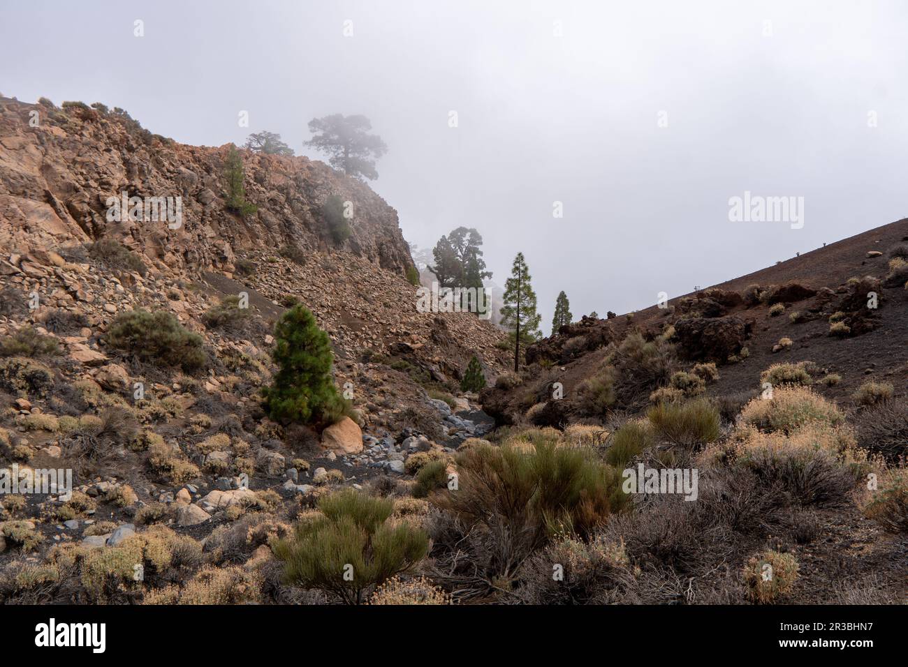 Beautiful landscape of the famous Pico del Teide mountain volcano in ...