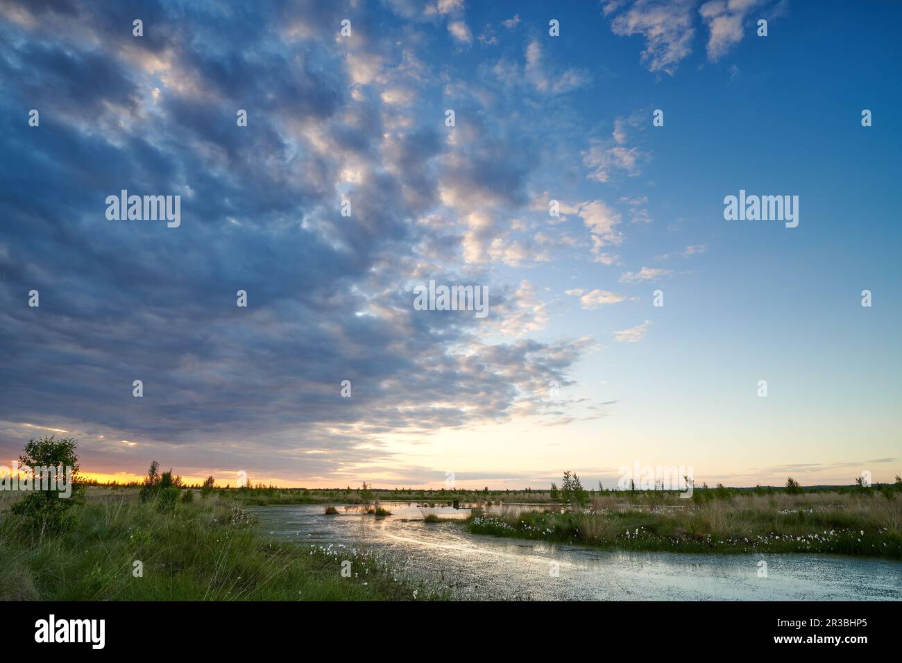 Peat marsh hi-res stock photography and images - Alamy