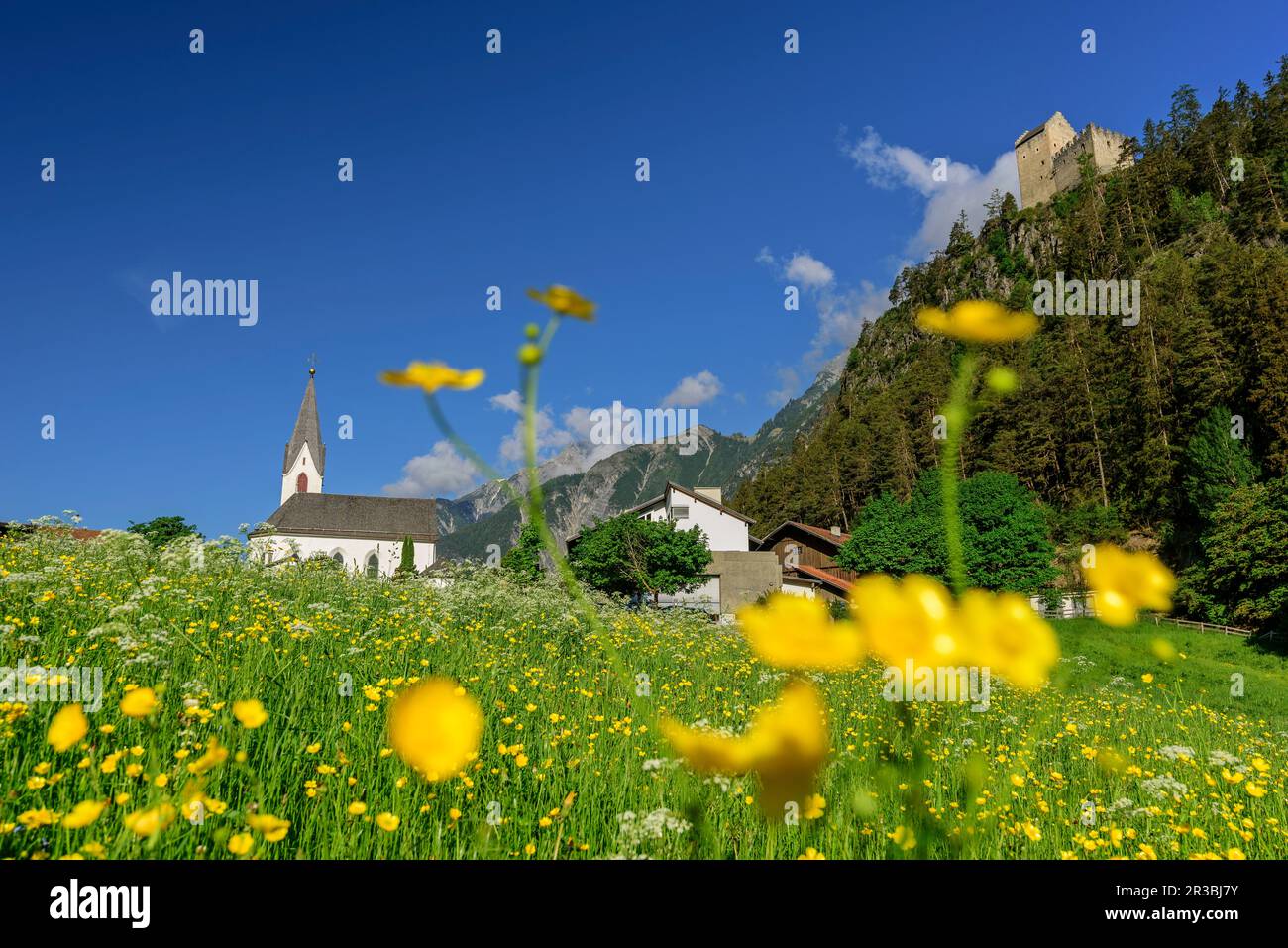 Austria, Tyrol, Summer meadow in front of village at foot of Kronburg ...