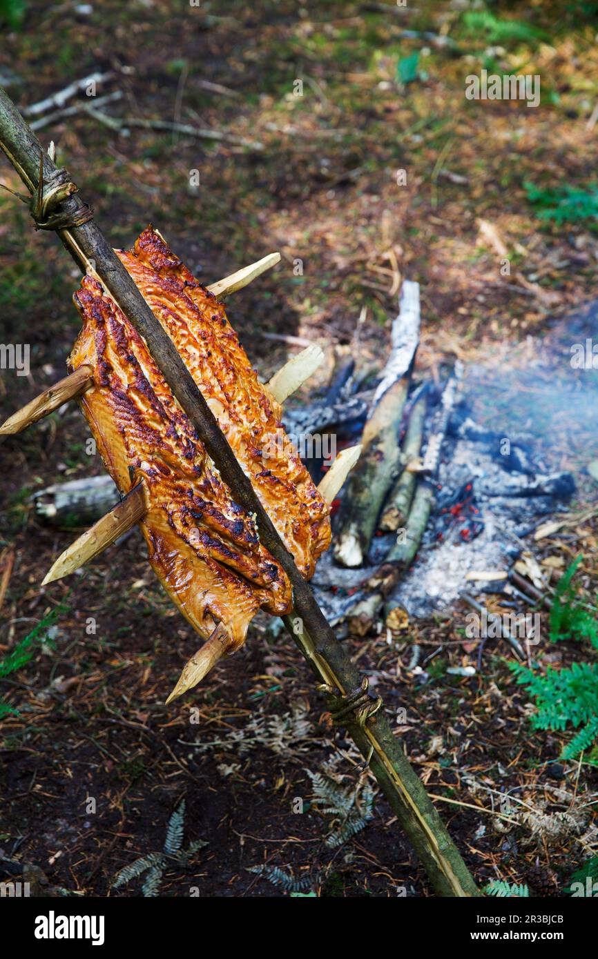 Wild salmon cooking over fire Stock Photo - Alamy