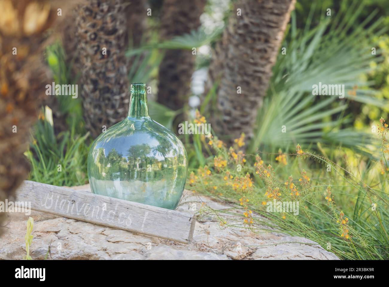 Empty carboy standing front palm trees hi-res stock photography and ...