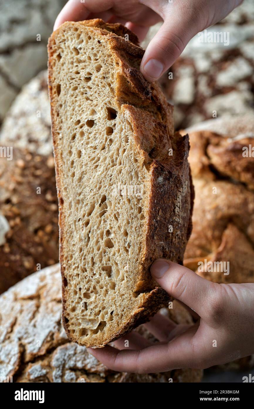 A hand holding half a loaf of bread Stock Photo - Alamy