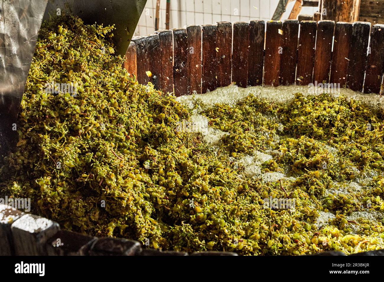 Grapes falling into a wooden barrel Stock Photo - Alamy