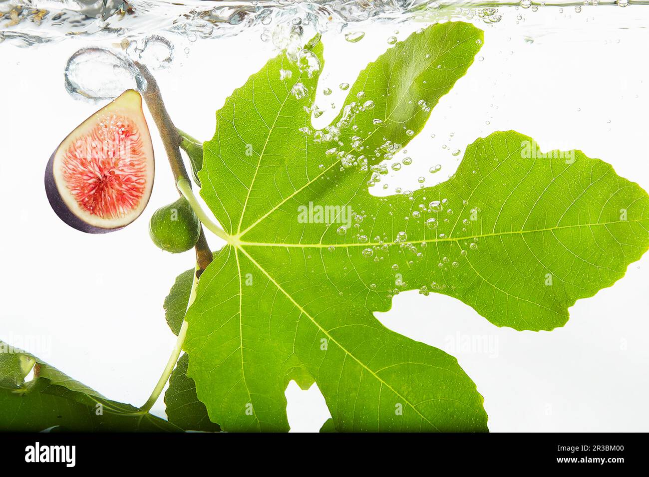 Figes and a fig leaf falling into fresh water Stock Photo - Alamy