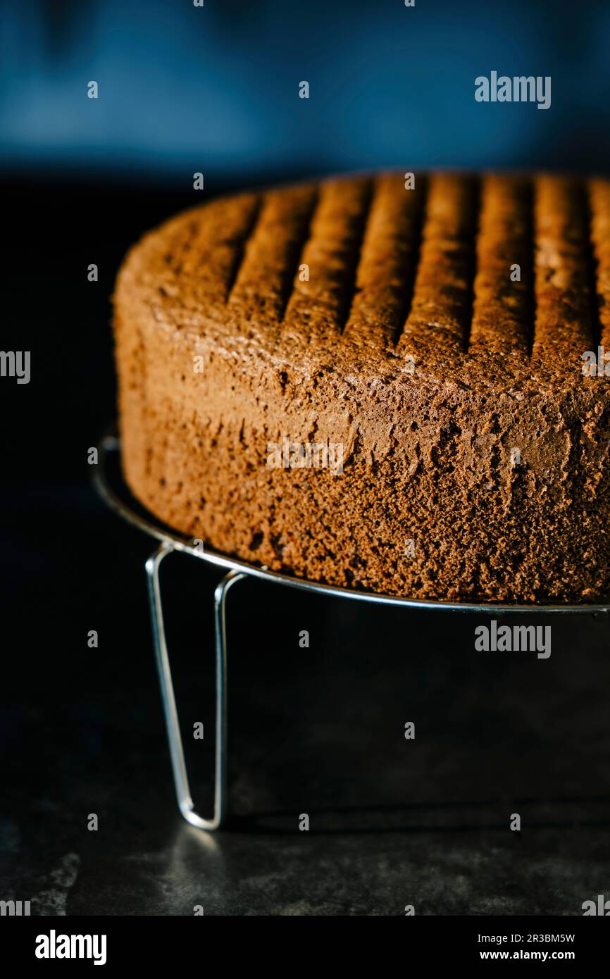 Chocolate sponge cake Stock Photo - Alamy