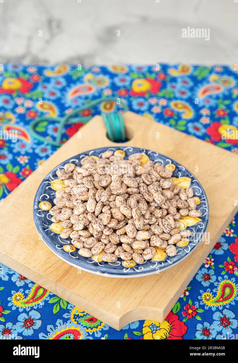 Pinto colored hi-res stock photography and images - Alamy