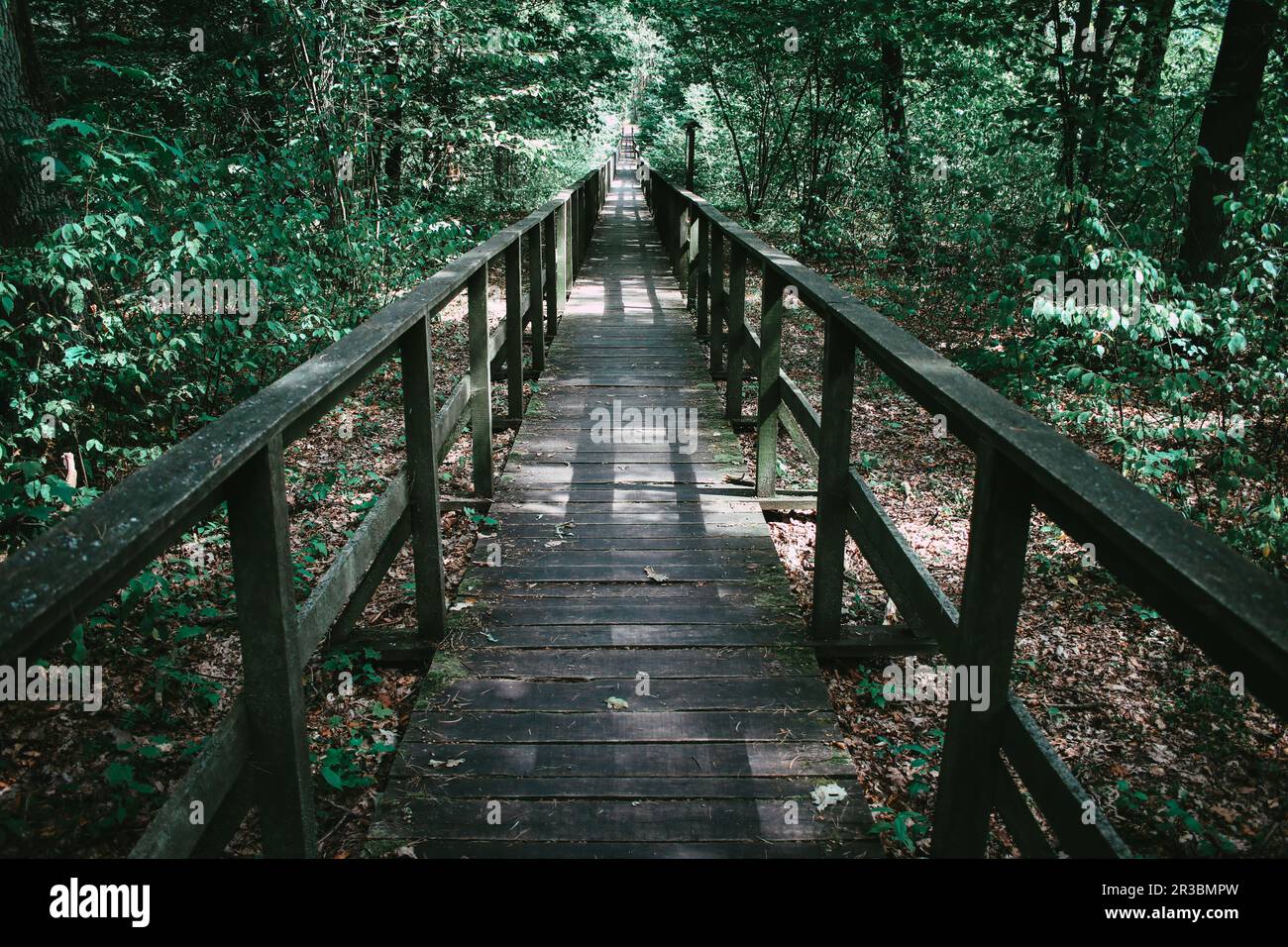 Obscure path leading hi-res stock photography and images - Alamy