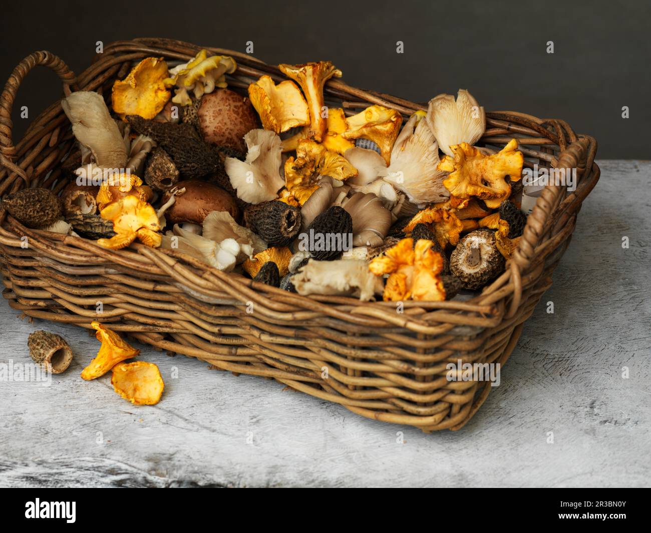 Girolles hi-res stock photography and images - Alamy