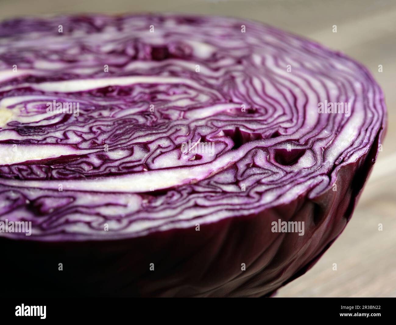 Cross section purple cabbage hi-res stock photography and images - Alamy