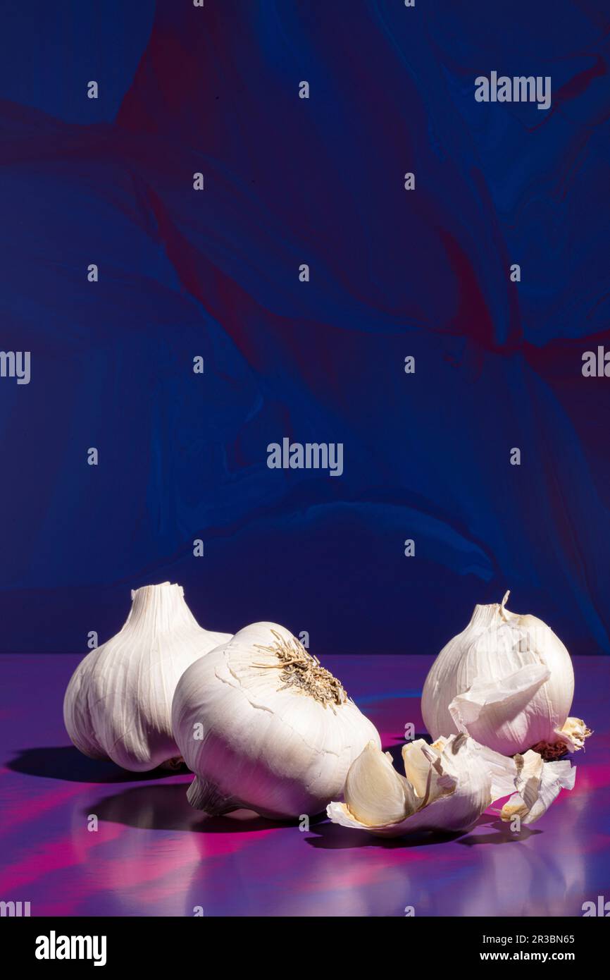 Garlic against a blue background Stock Photo - Alamy