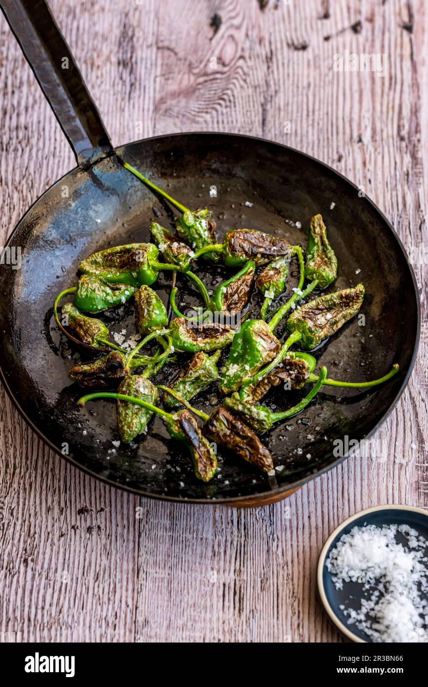 Chilli pepper ‘padron’, hi-res stock photography and images - Alamy