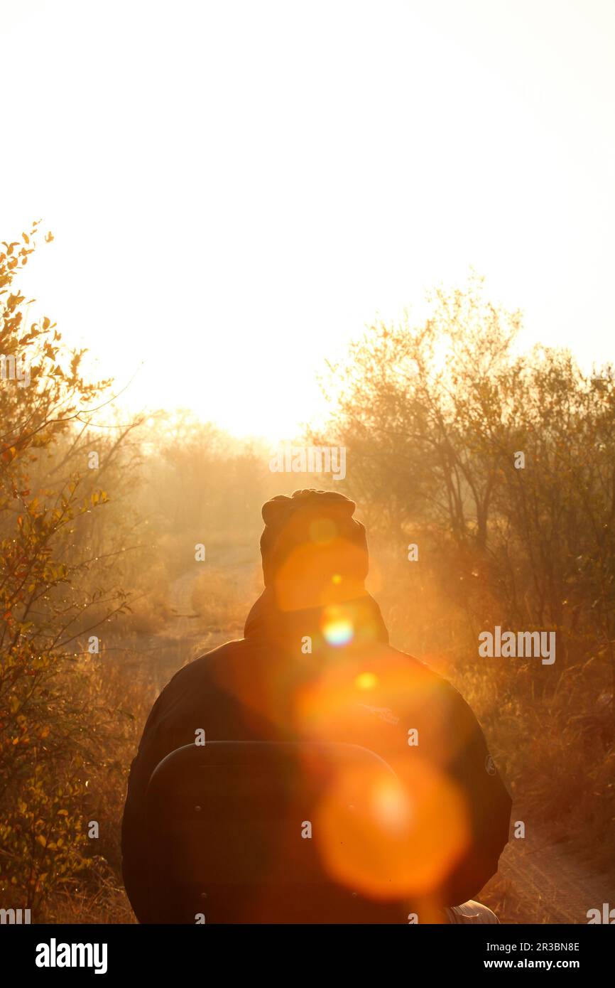 Silhouetted man tracking footprints from the front of a safari vehicle ...
