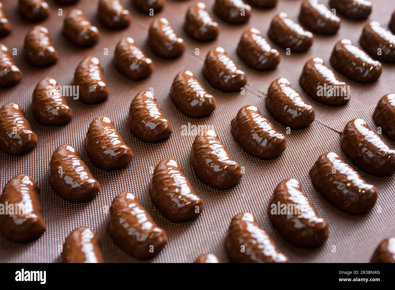 Making chocolate pralines Stock Photo - Alamy