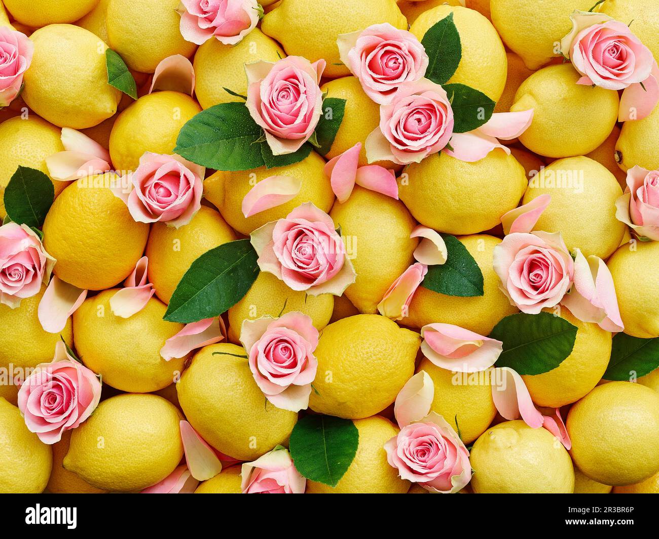 Lemons rose hi-res stock photography and images - Alamy