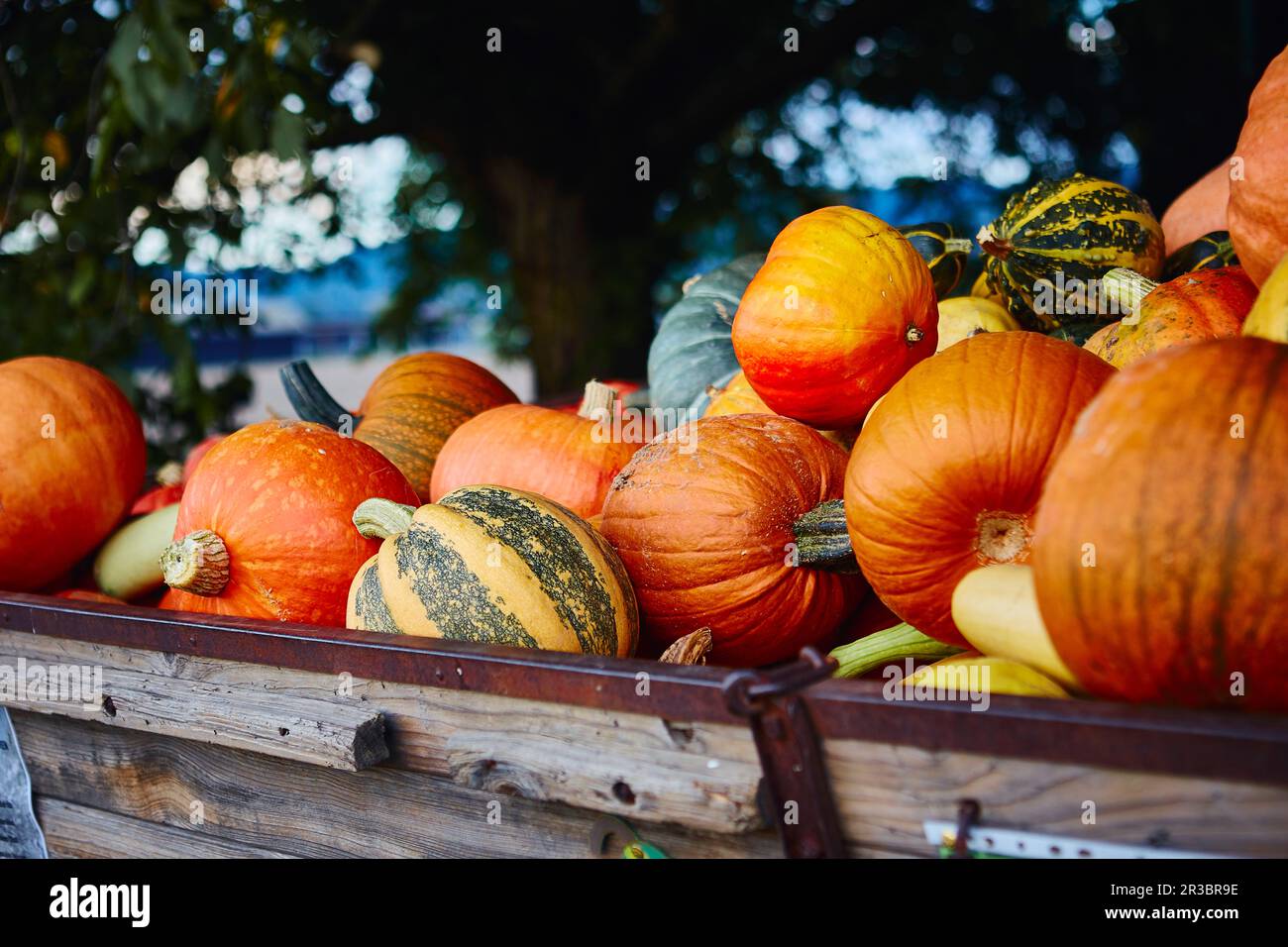 Pumpkin carts hi-res stock photography and images - Alamy