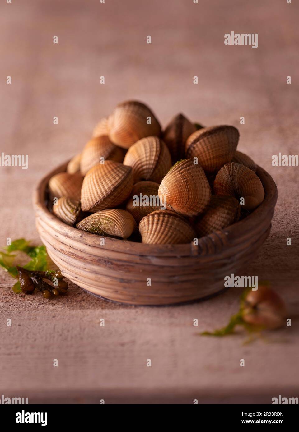 Venus clams hi-res stock photography and images - Alamy
