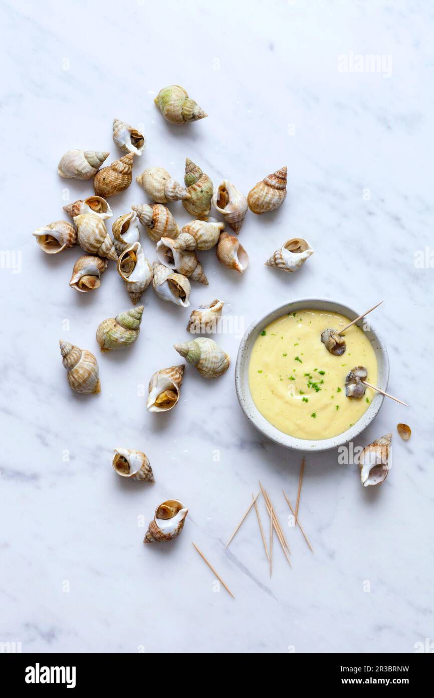 Whelks recipe hi-res stock photography and images - Alamy