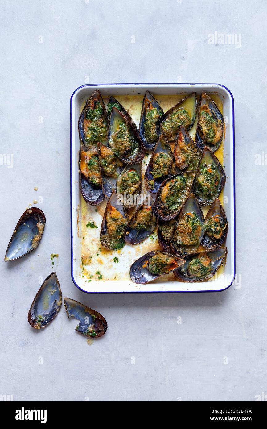 Mussels gratin gratin seafood hi-res stock photography and images - Alamy