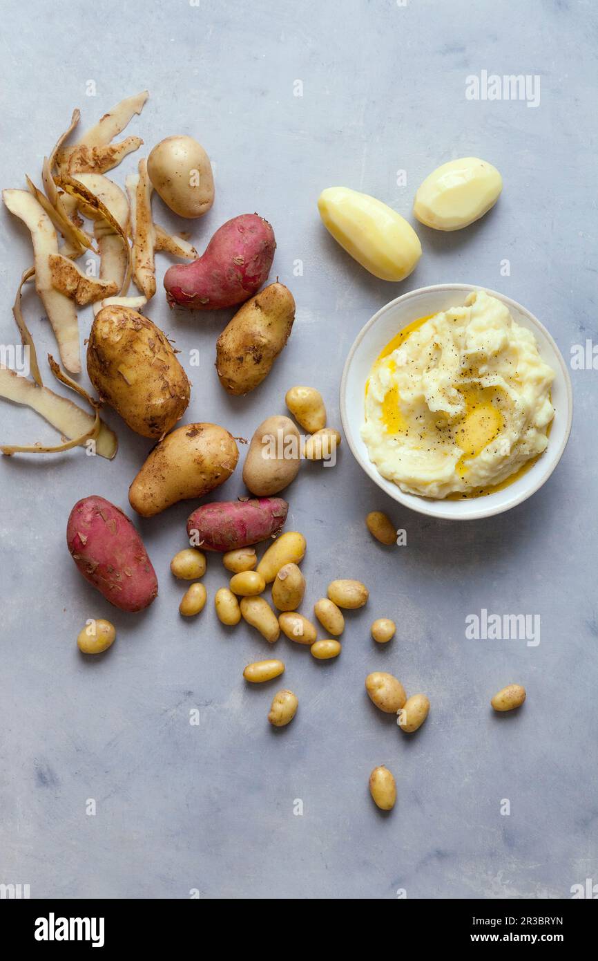 Mashed potatoes and varieties of potatoes Stock Photo - Alamy