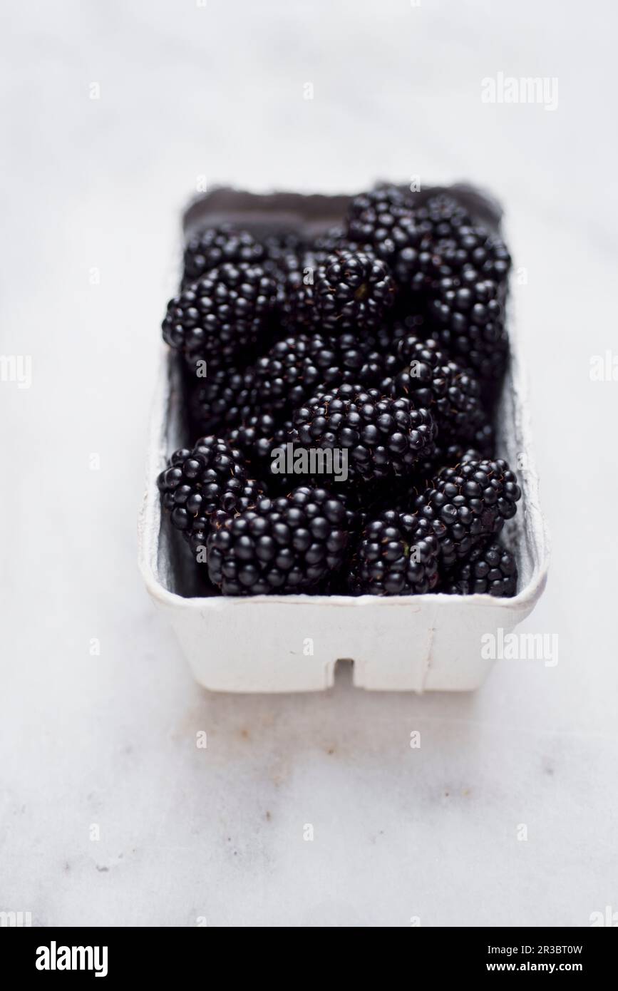 A punnet of fresh blackberries on a marble surface Stock Photo - Alamy