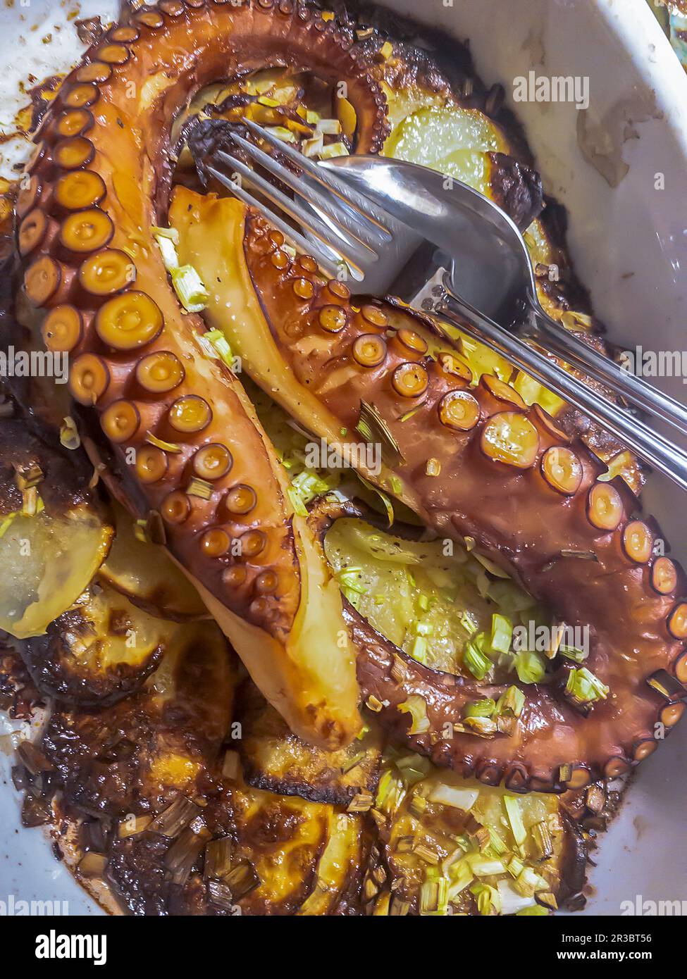 Baked squid cuttlefish potatoes hi-res stock photography and images - Alamy