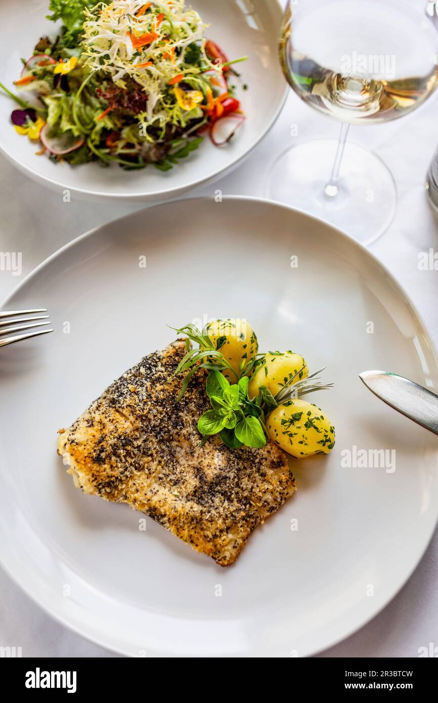 Fried fish in a poppy seed crust with potatoes and mixed salad Stock ...